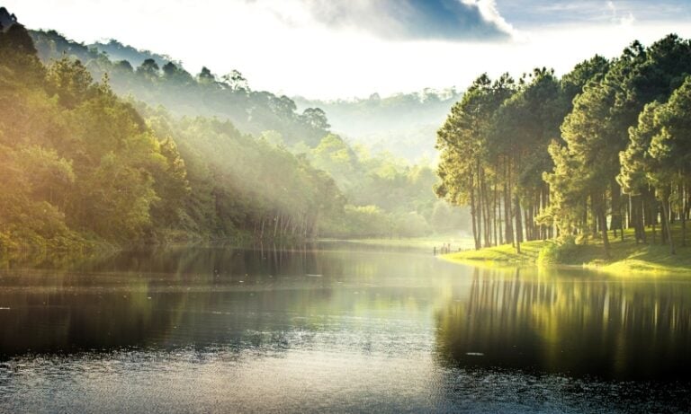 Central Asia’s Fruit and Nut Forests: The Real Garden of Eden? - The ...