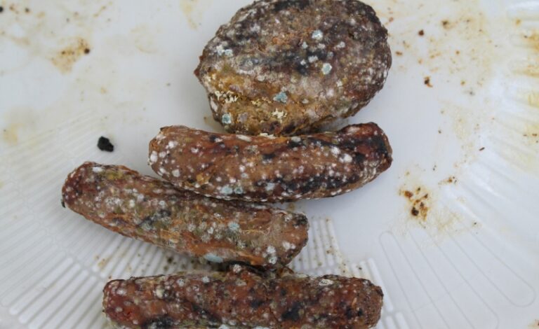 Maggot Burgers Can Help To Solve World Hunger - The Good Men Project