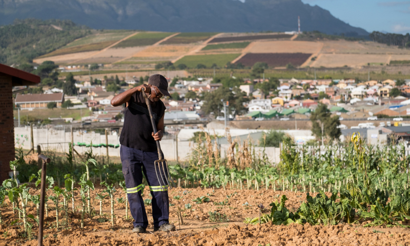 Lessons From a Fruitful Journey: Seven Years of EBA Research and Action ...