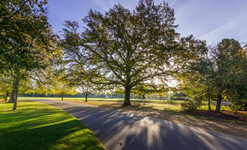 The Role of Urban Green Space: How London Got Its Parks - The Good Men ...
