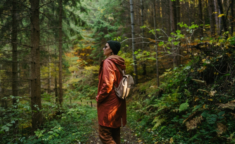 Indigenous Lands Hold the World’s Healthiest Forests – But Only When ...