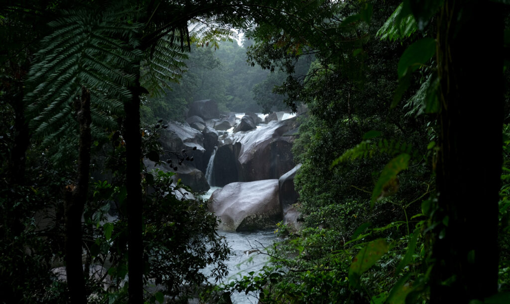3 Things to Do Outdoors in Australian Parks When It’s Raining - The ...