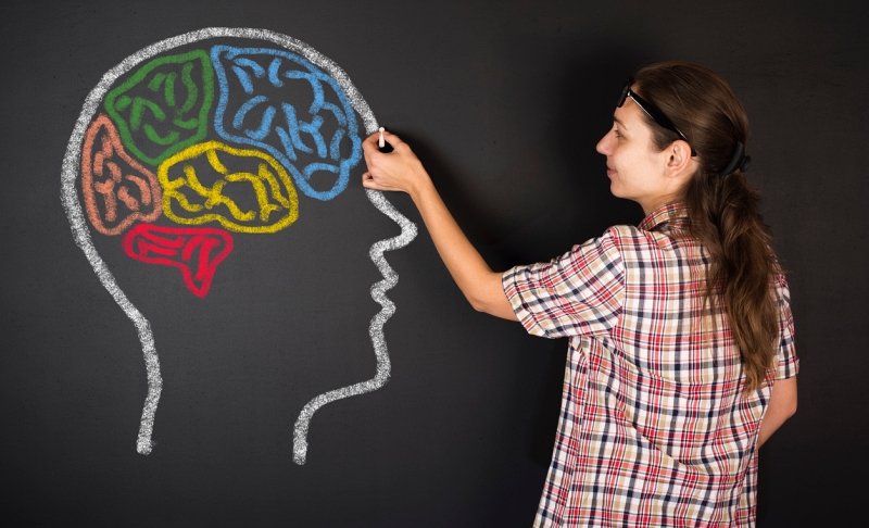 It's a No-Brainer: Beginning Teachers Should Learn About the Brain ...