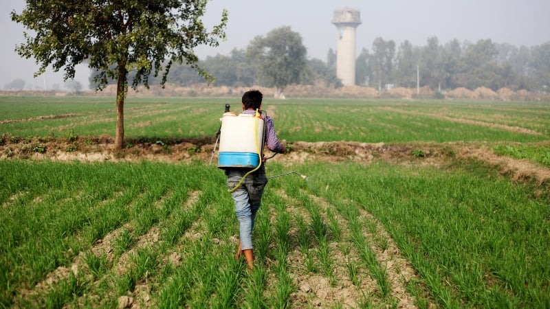 Global Pesticide Use Is on the Rise - The Good Men Project