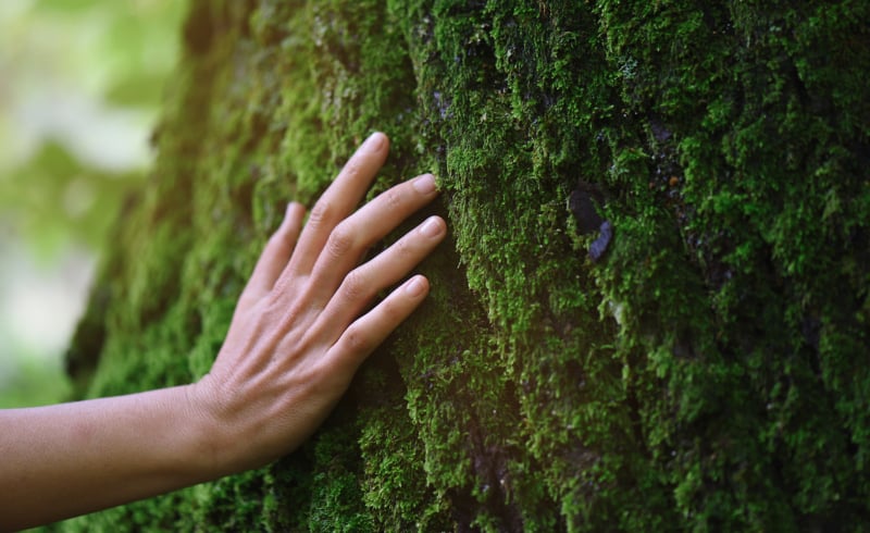 GREEN – Develop Your Emotional Empowerment - The Good Men Project